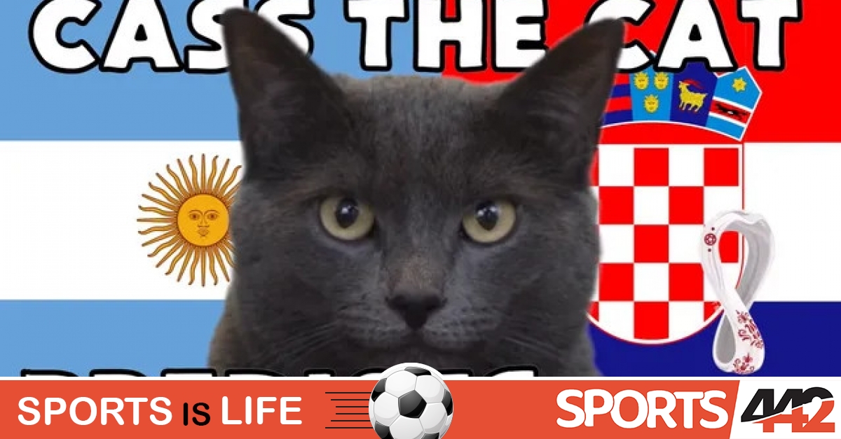Mèo Tiên Tri Dự đoán địa Chấn Trong Trận Cầu Giữa Argentina Và Croatia